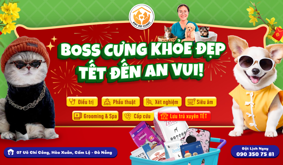 Amy Pet Clinic – Bứt Phá Nhận Diện Thương Hiệu Cùng ITIFY